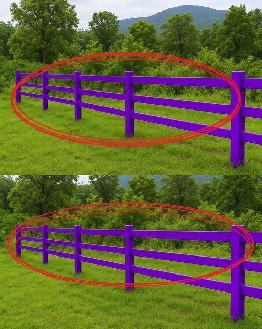PURPLE PAINT ON TREES AND FENCE POSTS: THE QUIET LEGAL WARNING MOST ...