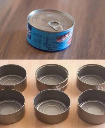 Don’t Throw Away Tuna Cans: They’re Worth Their Weight in Gold If You ...